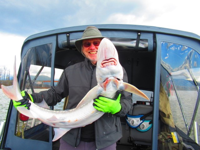 BECOME A VOLUNTEER | Fraser River Discover Centre – Fraser River ...