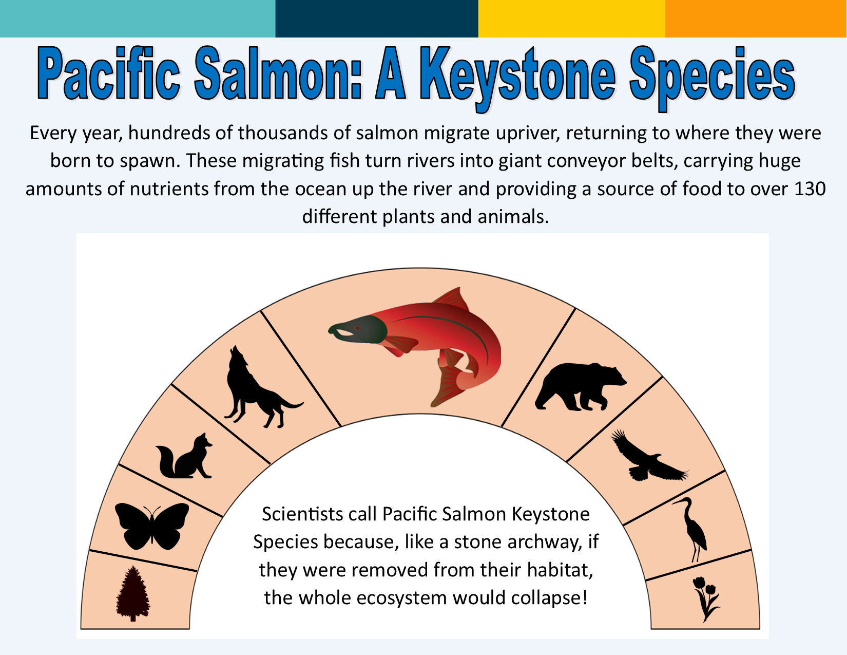 FRDC@HOME | Fraser River Discovery Centre – Fraser River Discovery Centre