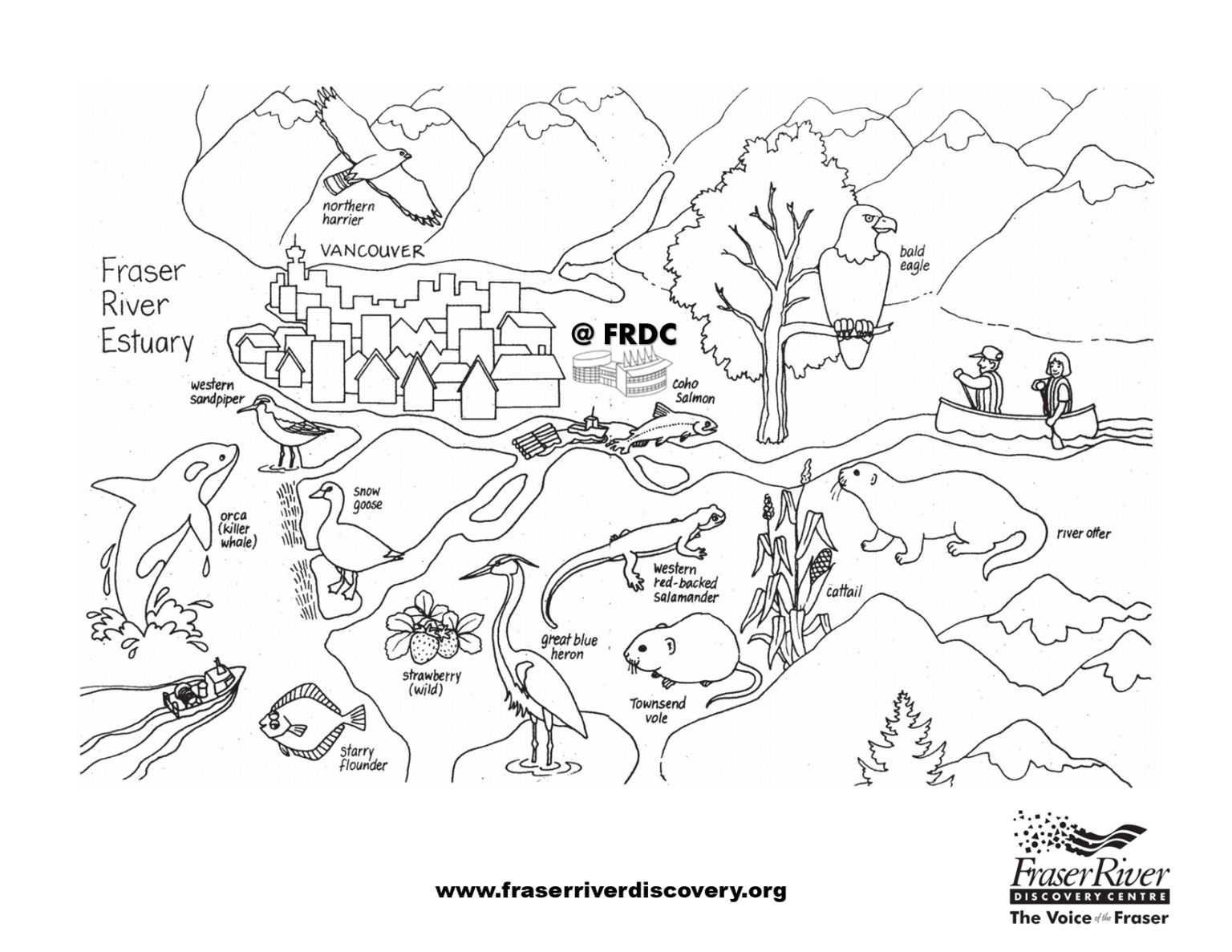 FRDC@HOME | Fraser River Discovery Centre – Fraser River Discovery Centre