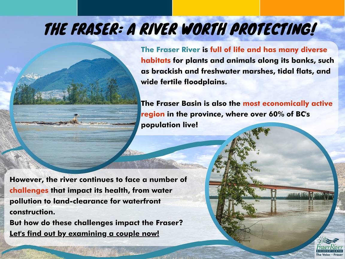 FRDC@HOME | Fraser River Discovery Centre – Fraser River Discovery Centre